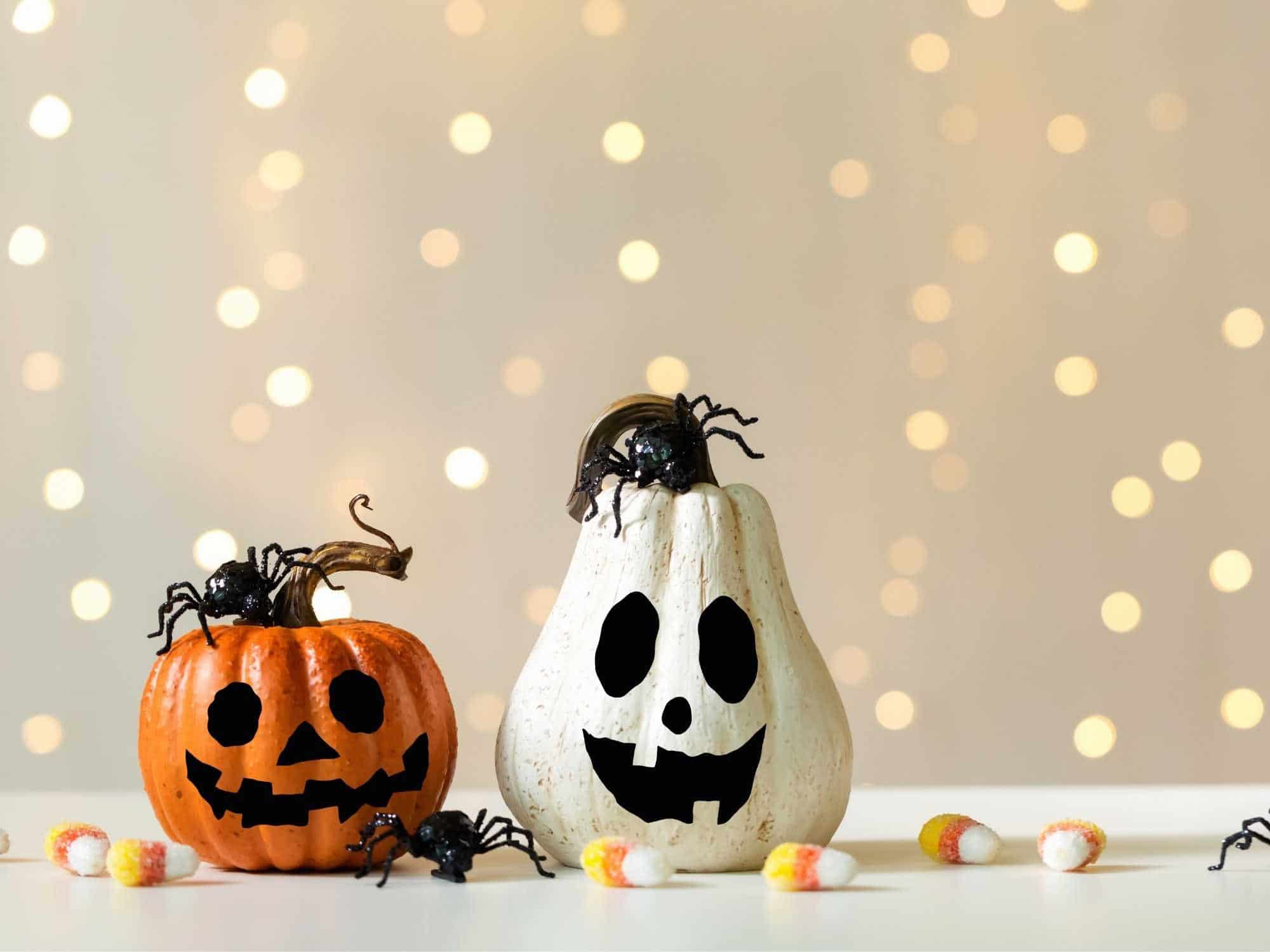 Eco-Friendly Halloween Ideas For A Spooktacular Time - Moral Fibres