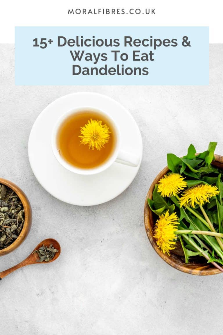 Dandelion Recipes: 17 Ways To Eat This Edible Plant - Moral Fibres