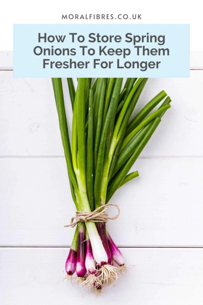 How to Store Spring Onions to Stay Fresher for Longer - Moral Fibres