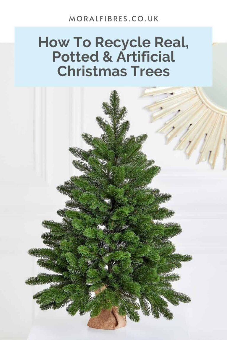 Recycling Christmas Trees - All The UK Options - Moral Fibres
