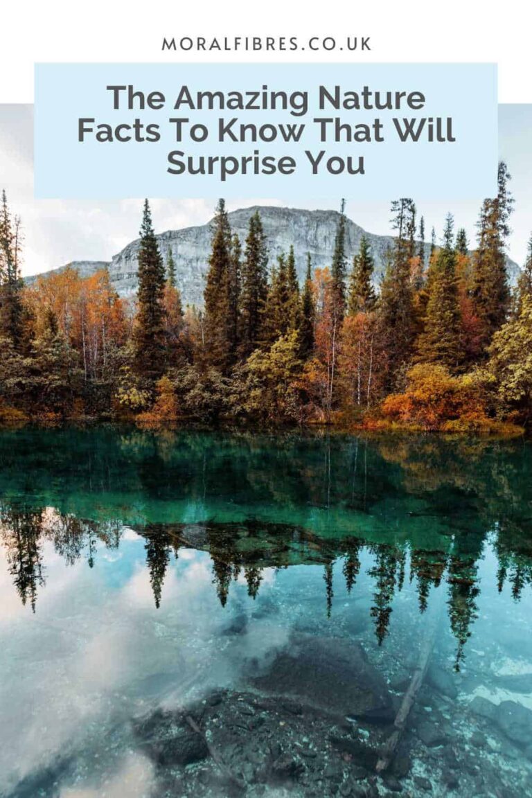 25 Amazing Nature Facts To Know - Moral Fibres