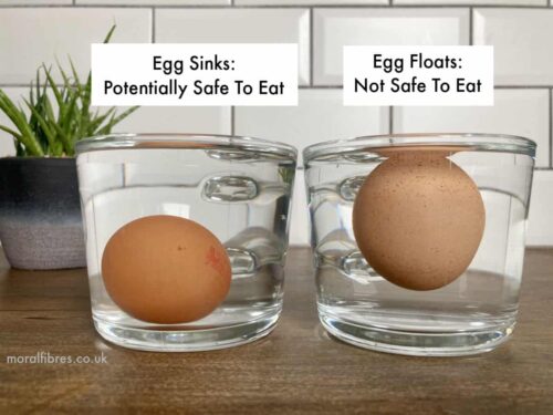 How To Test Eggs For Freshness With This Simple Technique - Moral Fibres